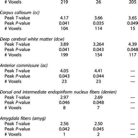Representative Image Of The Diffusion Mri Data B0 Map And Diffusion
