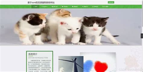 基于pythonflask框架的流浪猫狗救助网站（开题程序论文） 计算机毕设 Csdn博客