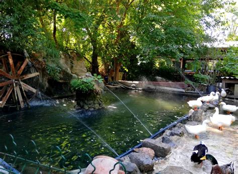 Verde Antalya on Twitter 今日は久しぶりに田舎の朝食キョイカフヴァルトゥスを食べに行った住宅街の
