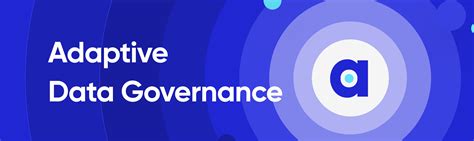 Adaptive Data Governance No More Plain Vanilla Please