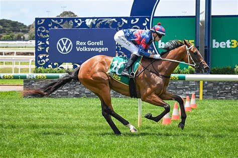 Steely Hustler Emsley Lodge