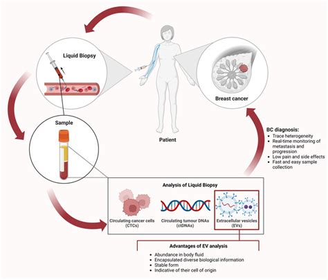 Liquid Biopsy For Breast Cancer Bc Diagnosis Body Fluids Are Download Scientific Diagram
