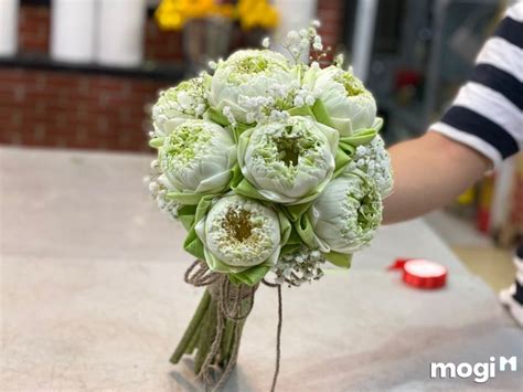Ý Nghĩa Của Hoa Sen Trong Văn Hóa Và Tôn Giáo Tại Việt Nam