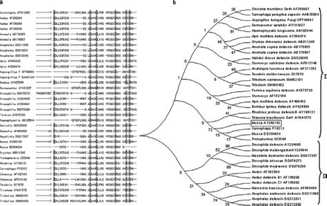 A Comparative Alignment Of Amino Acids Of Pre Prodefensins From