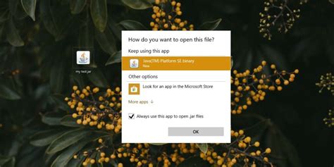 How To Open Jar Files On Windows TUTORIAL