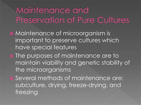Ppt Metode Mikrobiologis 1 Powerpoint Presentation Free Download