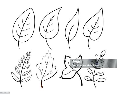 흰색 배경에 고립 된 색칠 잎의 손으로 그린 세트 벡터 식물 학적 그림 손으로 그린 낙서 허브 요소 라인 아트 또는 윤곽
