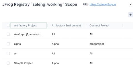 Add Artifactory Access Scope Jfrog Connect Documentation