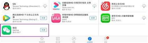 教你如何在低版本iOS上完美运行微信支持iOS 玄烨品果