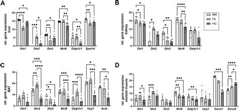 Comparison Of Gene Expression Levels In Liver Kidney BAT And Skeletal