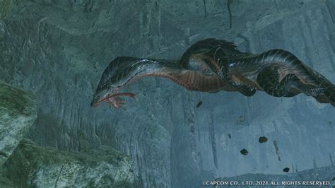 Discuss Everything About Monster Hunter Wiki Fandom