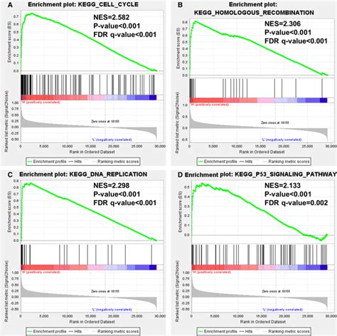 Gene Set Enrichment Analysis Gsea Using Tcga Lihc Dataset Parpbp