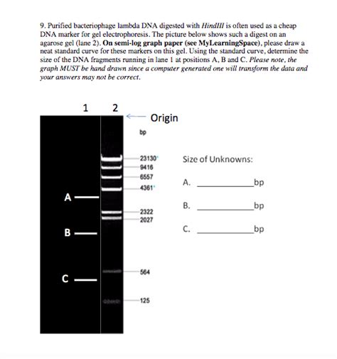 Solved Problem Sets Str Analysis And Gene Technology 1 Below