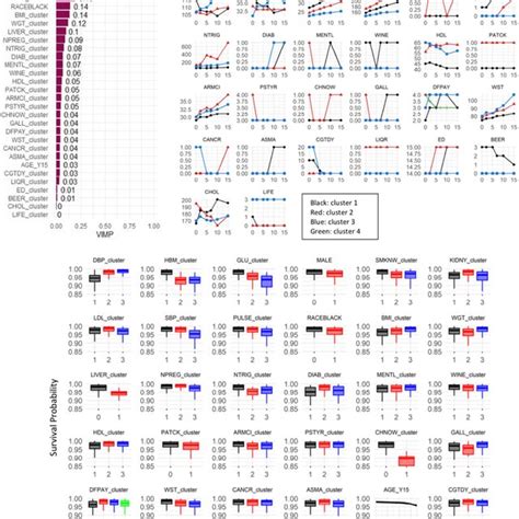 Model Explanation Of The Best Performing Model Rsf Trained On Time
