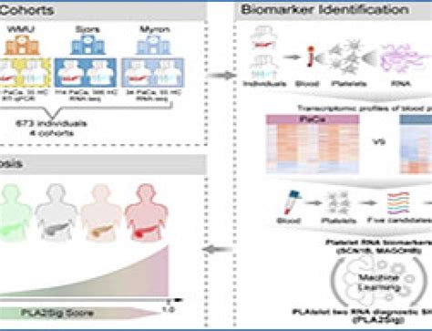 Scnet Integrating Protein Interaction Networks With Rna Sequencing