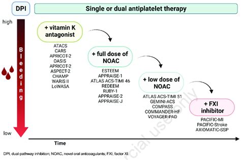 Temporal Evolution Of Dual Pathway Inhibition Download Scientific Diagram