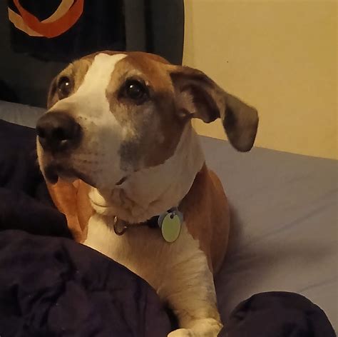 These Avengers Sex Toys Will Keep Nowthis Entertainment Facebook