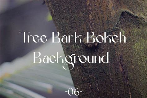 Tree Bark Bokeh Background Graphic By Zamera Studio Creative Fabrica