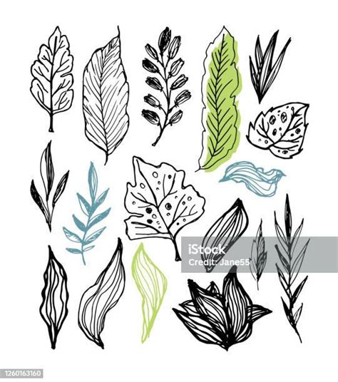 추상 핸드 Dtawn 꽃 템플릿 세트 패턴 배경 직물 티셔츠 디자인을위한 잎과 꽃 예술 0명에 대한 스톡 벡터 아트 및 기타 이미지 Istock