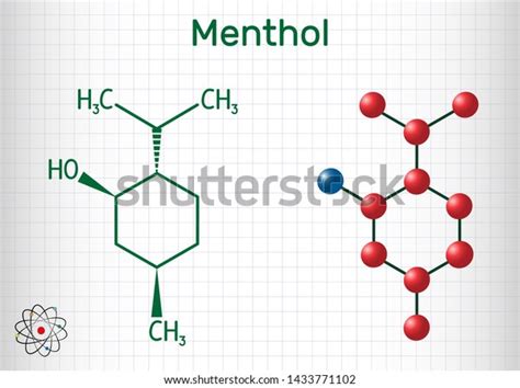 Menthol Molecule Found Peppermint Spearmint Gives Stock Vector Royalty