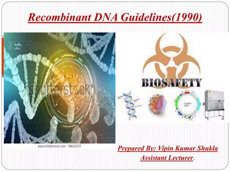 Recombinant Dna Guidelines1990 Pptx Biotech And Biomedical