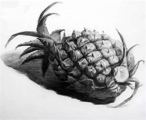 【收藏级别】单个素描静物作品集！