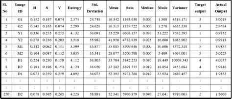 input target and actual output of neuro statistic neural network