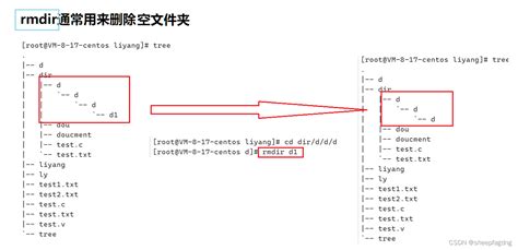 Linux简单指令cdtouchmkdirrmdirrm使用cd命令进入图05中创建好的目录再使用touch新建一个文本文件