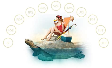 CorelDRAW Graphics Suite Education License Multi Language Windows Mac ESD Patro Cz
