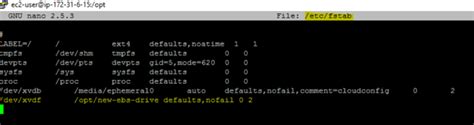 Backing Up Instance Store Volumes To Aws Ebs