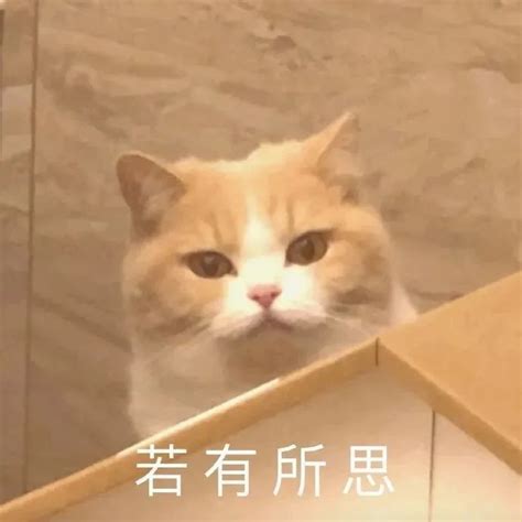 E句话看天下 扰乱课堂秩序搞直播爆破的是什么垃圾 刘聪 直播 新浪新闻