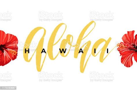녹색 야자수 잎 히비스커스 꽃 파인애플과 손으로 그린 알로하 비문과 열대 벡터 디자인 여름 하와이 일러스트 0명에 대한 스톡 벡터 아트 및 기타 이미지 Istock