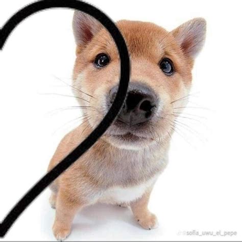 Fotos De Perfil Matching Pfp Matching Icons Toro Inoue Deep Thought