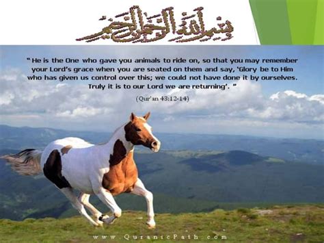 Classification Of Virus And Basic Terms Ppt