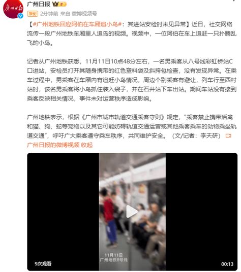 广州地铁回应阿伯在车厢追小鸟：其进站安检时未见异常乘客运营