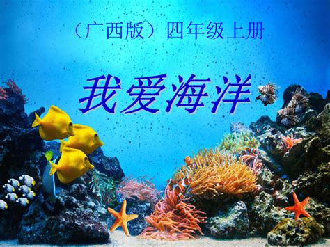 桂美版 四年级上册美术课件第2课我爱海洋（18ppt） 21世纪教育网