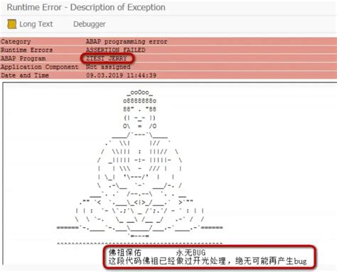 Abap 程序员必备指南：三种不同 Abap 环境下诊断运行时错误的方法揭秘 待注销 Segmentfault 思否