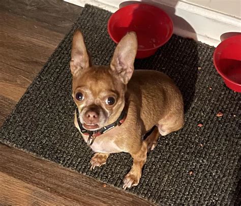 Passive Aggressive Much Scrolller