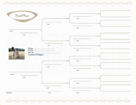 Free Rabbit Pedigree Template Of Rabbit Pedigree Blank Chart Rabbits