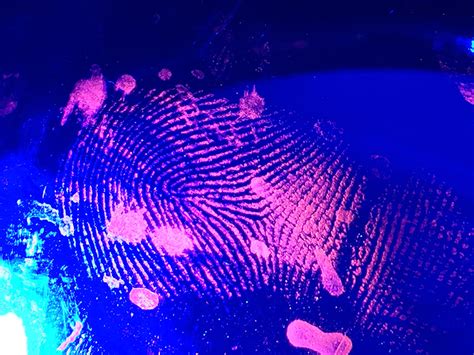Basic Forensic Photography Texas School Of Professional Photography