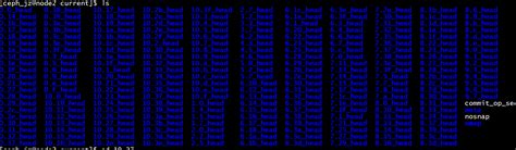 Ceph Benchmark Ceph Bench Csdn