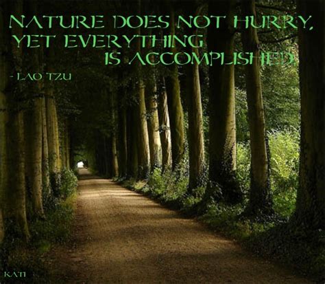 Quotes About Pacing Yourself Quotesgram
