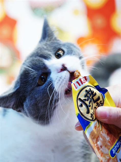 热卖伊纳宝营养糊猫零食肉酱液体猫条妙封包成幼猫湿粮满就送包邮 虎窝淘