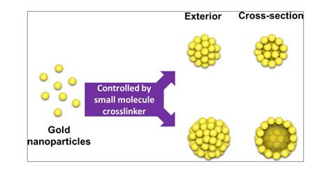 Colloidal Capsules Assembled From Gold Nanoparticles Using Small Molecule Hydrophobic Cross