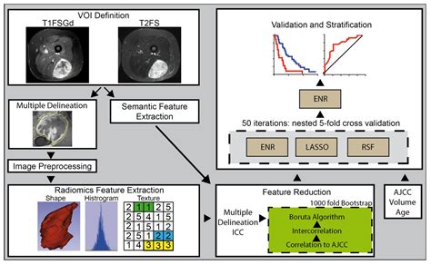 Cancers Free Full Text Prognostic Assessment In High Grade Soft Tissue Sarcoma Patients A