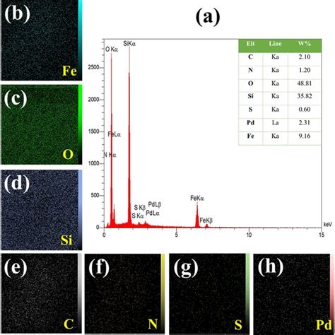 The SEM And TEM Images Of A D Fe O SiO B E Graphene Sheet And Download Scientific