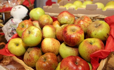 Todo listo para la Gran Feria de la Manzana de Zacatlán aquí los