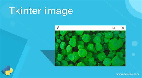 Tkinter Image Learn The Concept Of Tkinter Image
