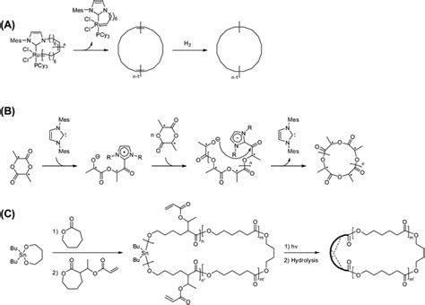 Topological Polymer Chemistry A Cyclic Approach Toward Novel Polymer