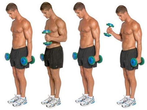 Como Realizar Curl De Bíceps Tipo Martillo De Forma Correcta
